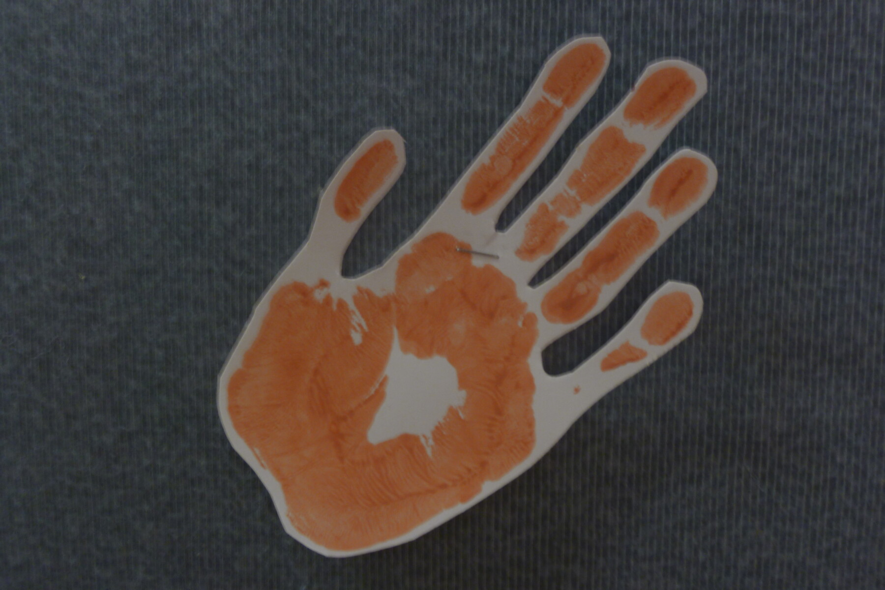 My History/Our History Exhibition - Pakeman Primary School