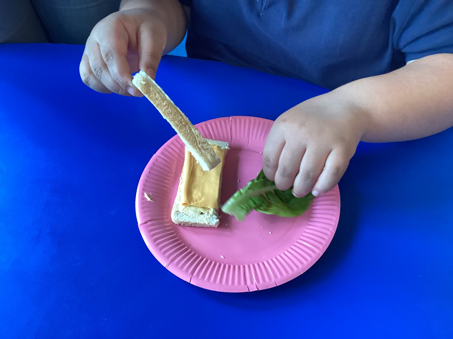 The Lighthouse Keeper's Lunch - Pakeman Primary School