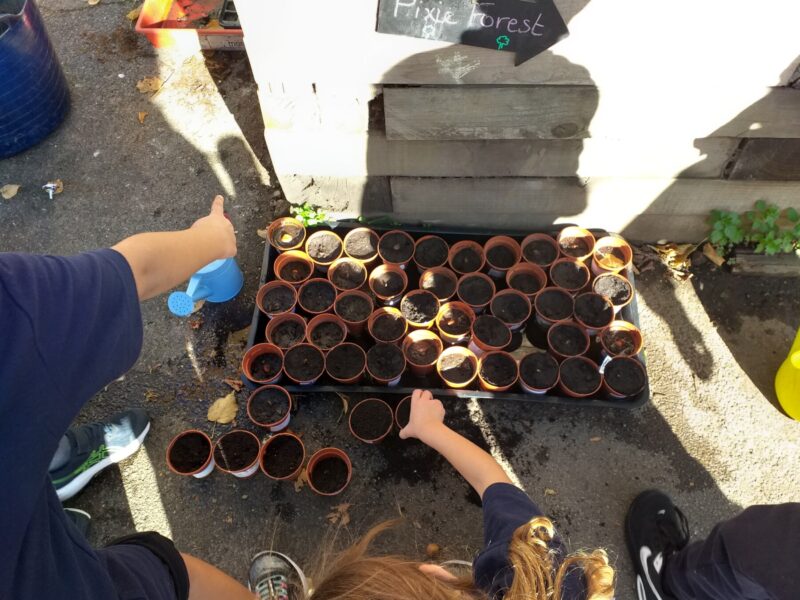 Planting Bulbs - Pakeman Primary School