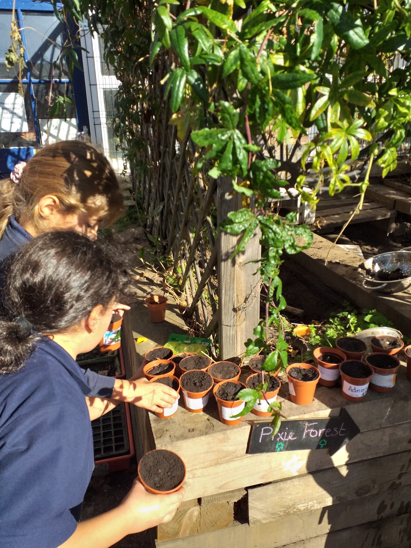 Planting Bulbs - Pakeman Primary School