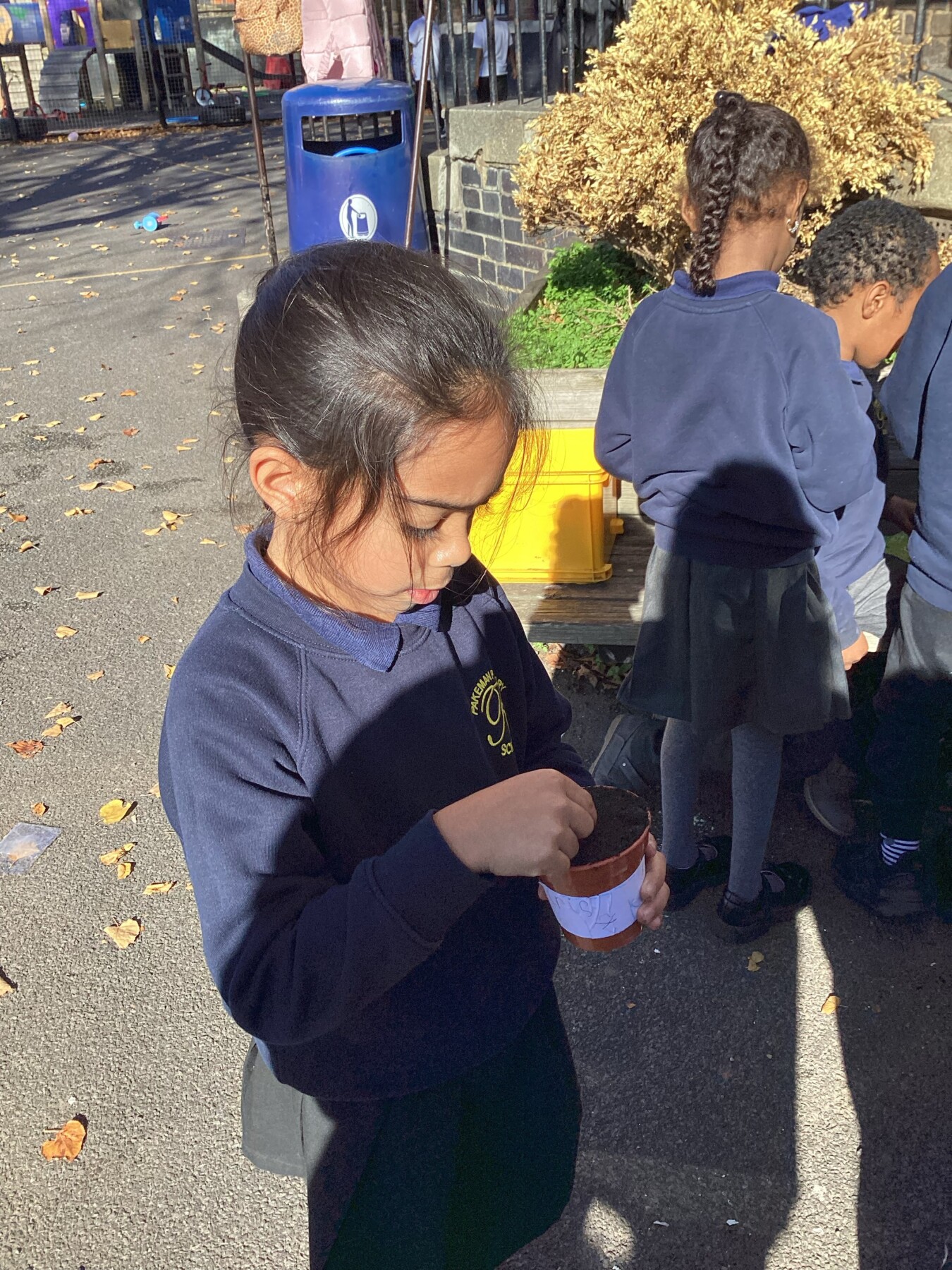 Planting Bulbs - Pakeman Primary School