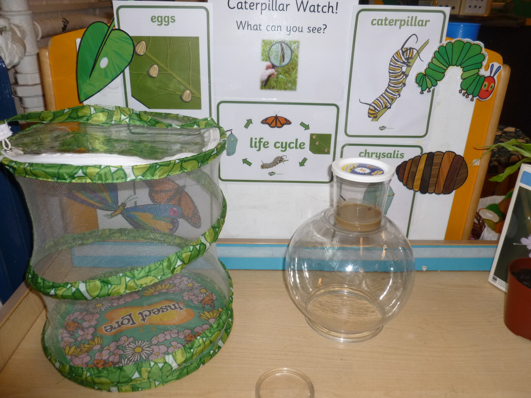 Spring Caterpillars - Pakeman Primary School
