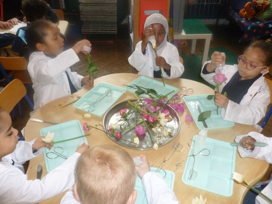 Science Week at Pakeman - Pakeman Primary School