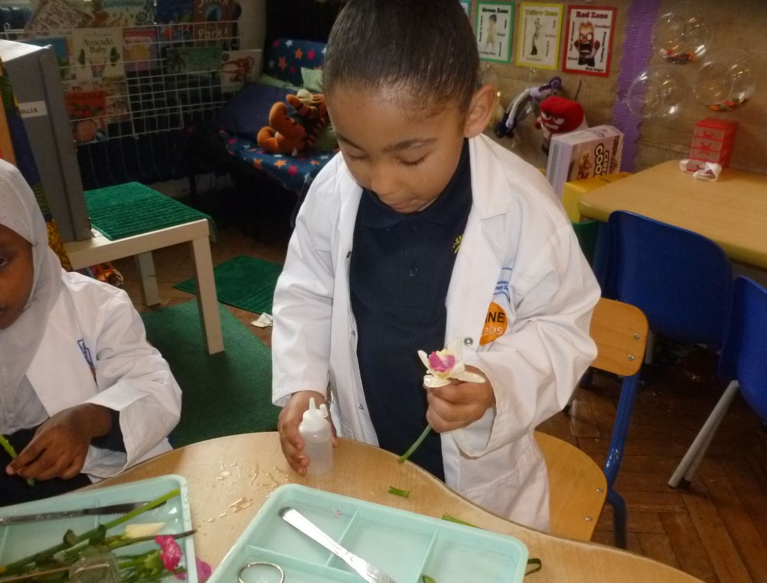 Science Week at Pakeman - Pakeman Primary School