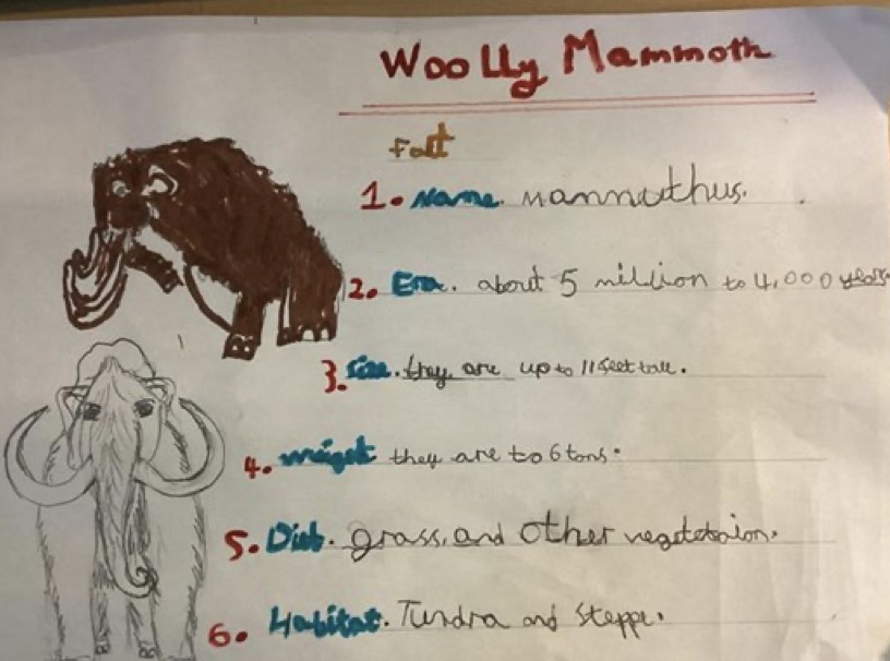 Stone Age Homework - Pakeman Primary School